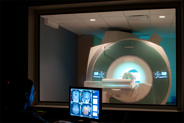 Cognitive and Behavioral Brain Imaging, Center for | College of Arts ...