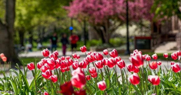 2025-2026 College of Arts and Sciences award winners announced ...