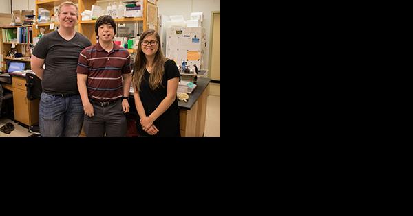 The New Face of STEM Research: Diverse Students, Shared Experiences ...