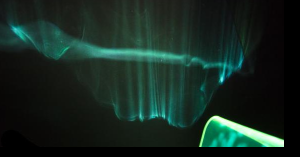 Vile Maxim | College of Arts and Sciences