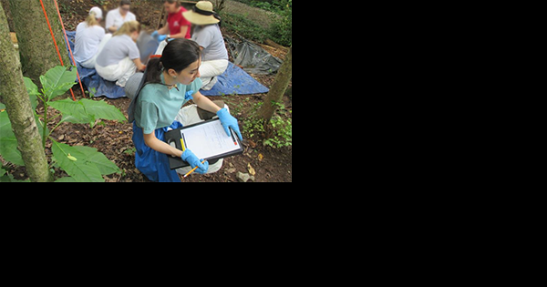 Hardie finds the human element in field work | College of Arts and Sciences