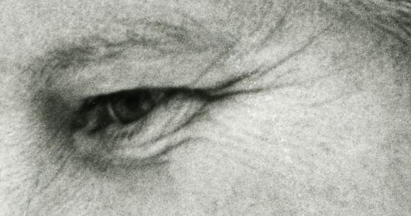 Ann Hamilton Honored with National Medal of Arts | College of Arts and ...