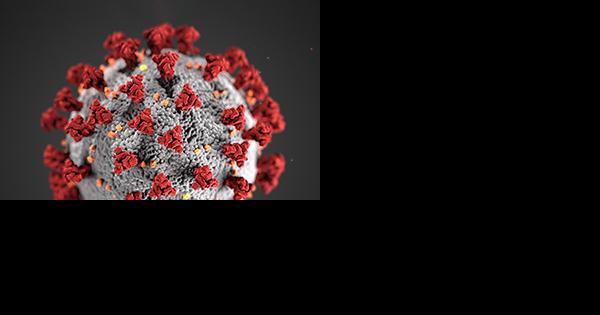 Microbiology’s Fight Against COVID-19 | College of Arts and Sciences